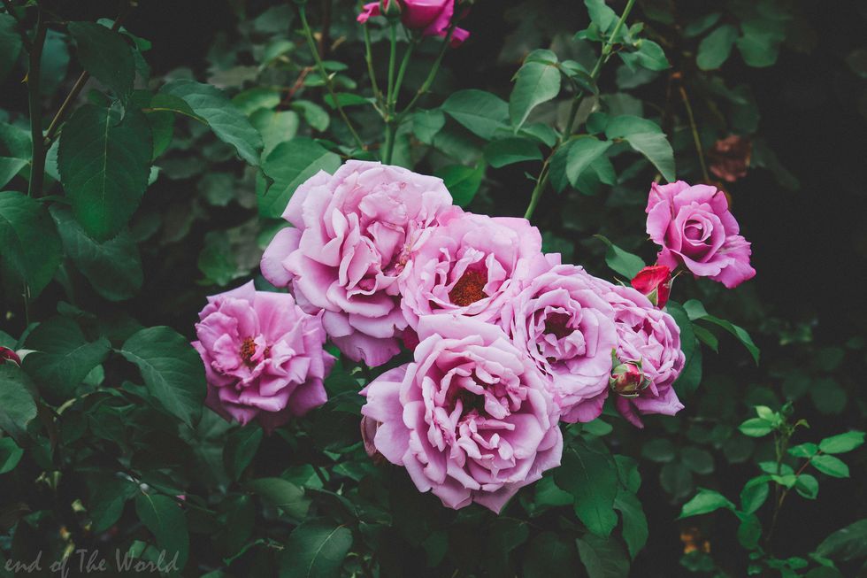 Church Should Revolve Around Our Lives Rather Than Our Lives Revolve ...