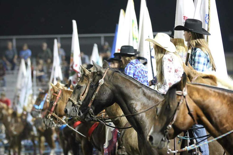 15 Truths You're One Of The Lucky Humans Who Owns A Horse | The Odyssey ...
