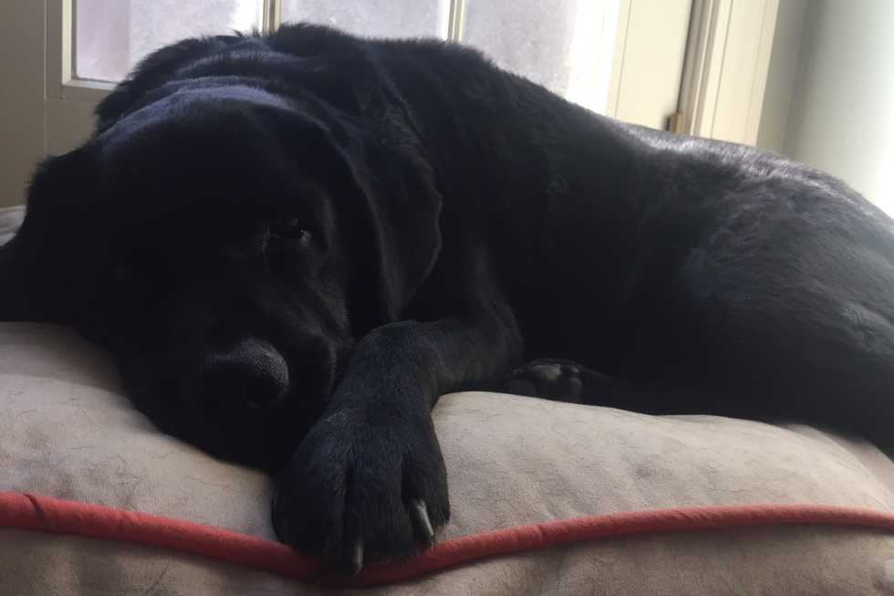 The Open Gate: Poetry on Odyssey | The Odyssey Online