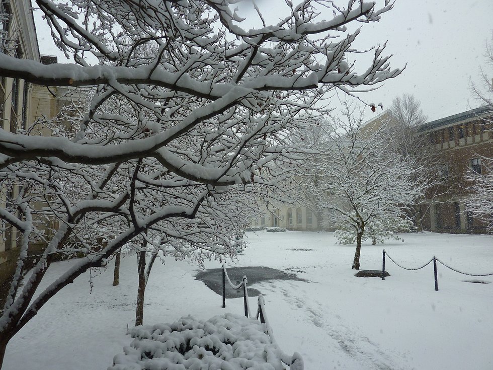 5 Things To Enjoy About Winter Quarter And Bring You Out Of The ...