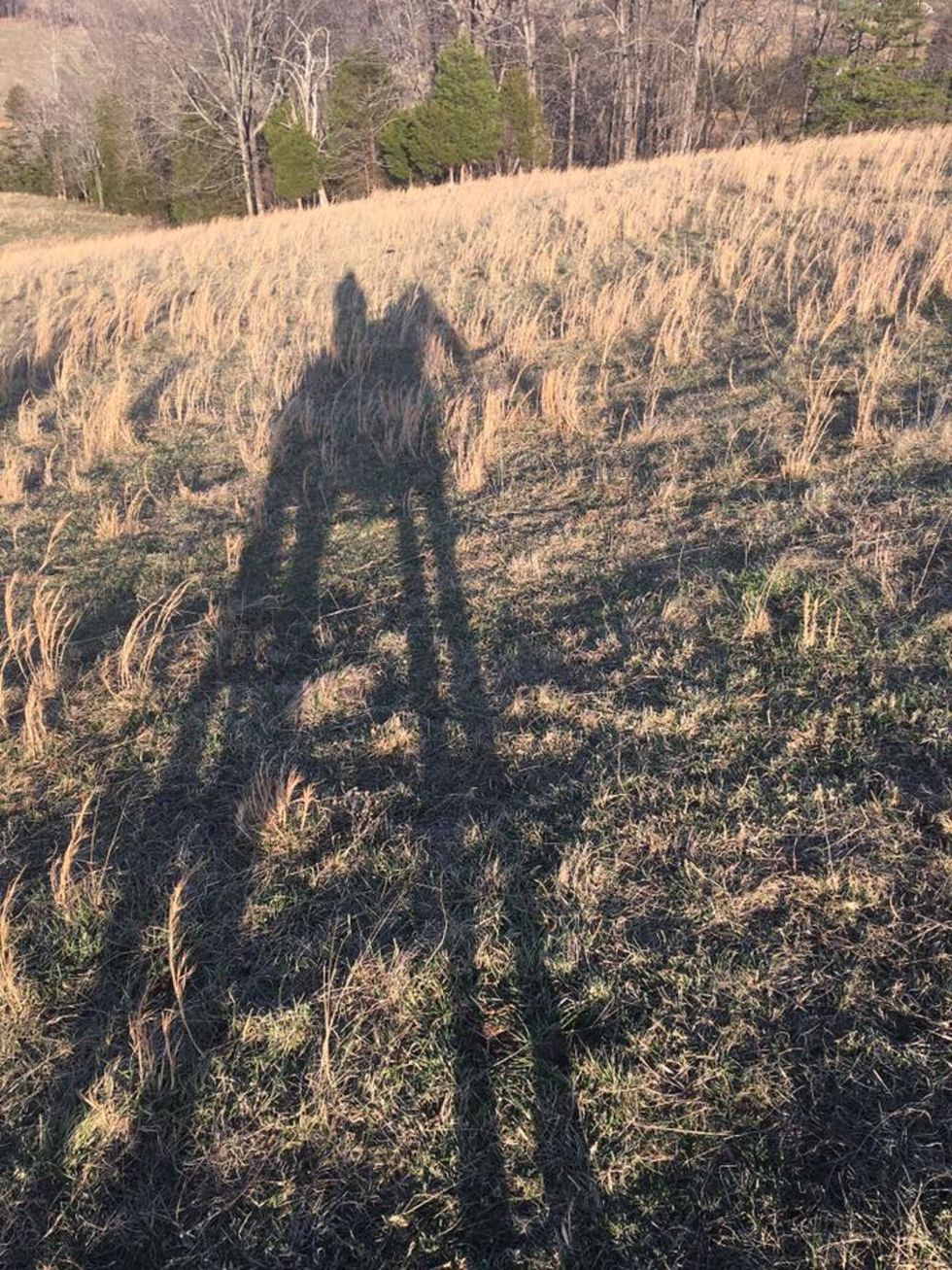 Insecurity Is My Constant Shadow | The Odyssey Online