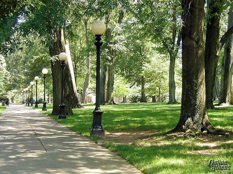 20 Activities For A UGA Student On A Budget | The Odyssey Online
