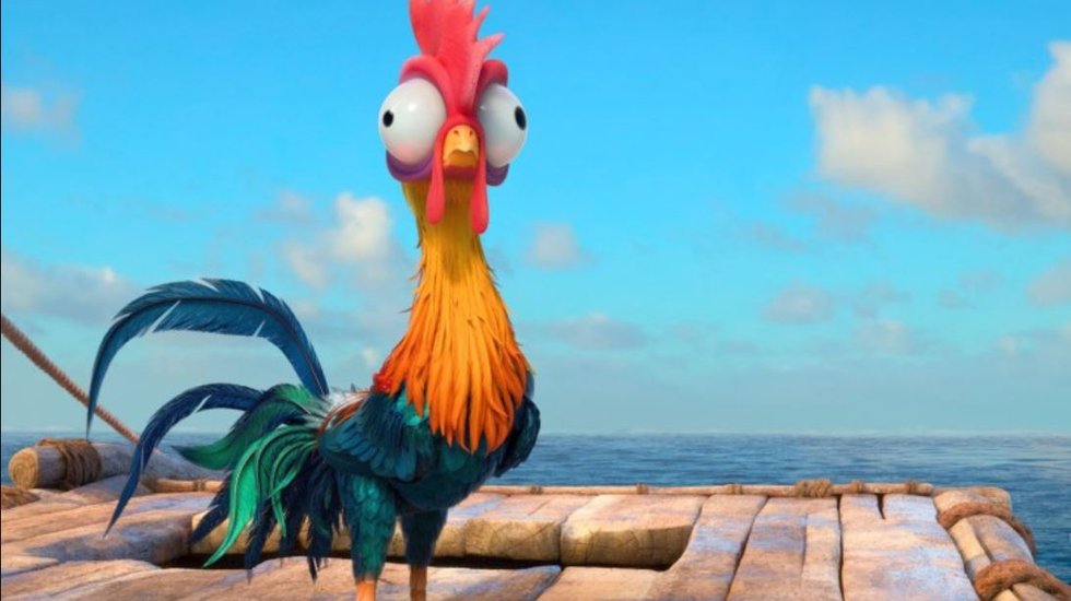 5 Ways We Are All Secretly Moana's Clumsy Chicken Heihei | The Odyssey ...
