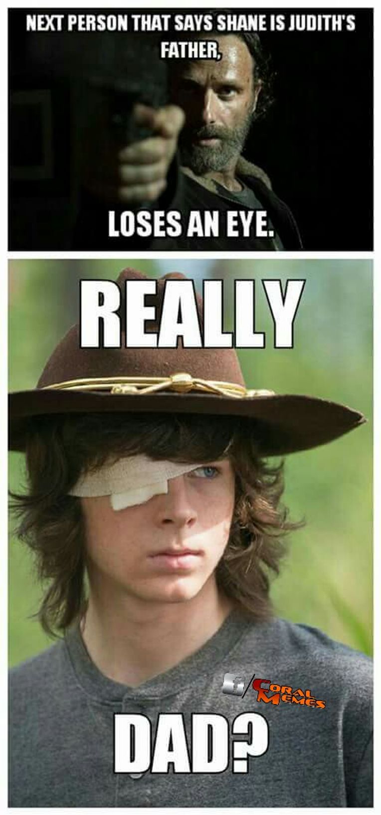 Rick Grimes Memes