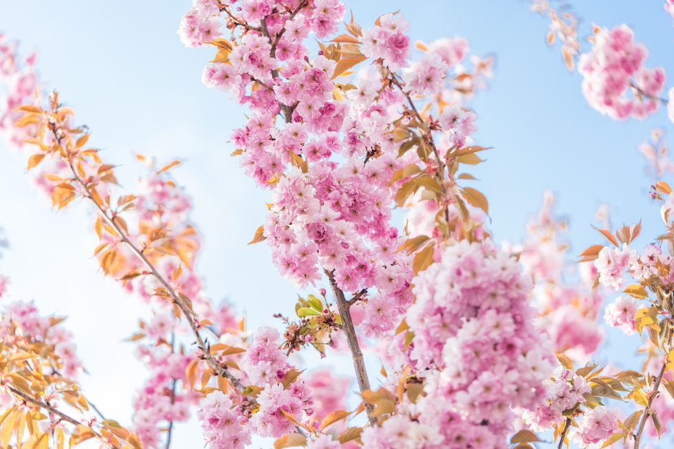 20 Things You Should Do This Spring To (Almost) Feel Like A Kid Again ...