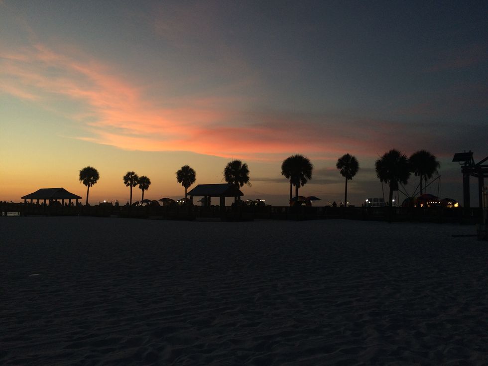 Poem: Among The Palm Trees | The Odyssey Online