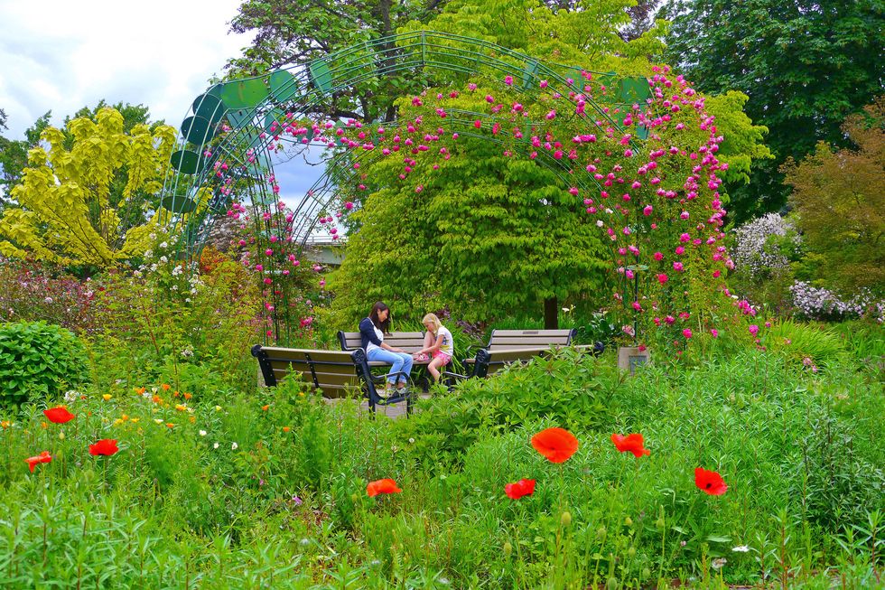 5 Ways To Capitalize On Spring In Eugene, Oregon | The Odyssey Online
