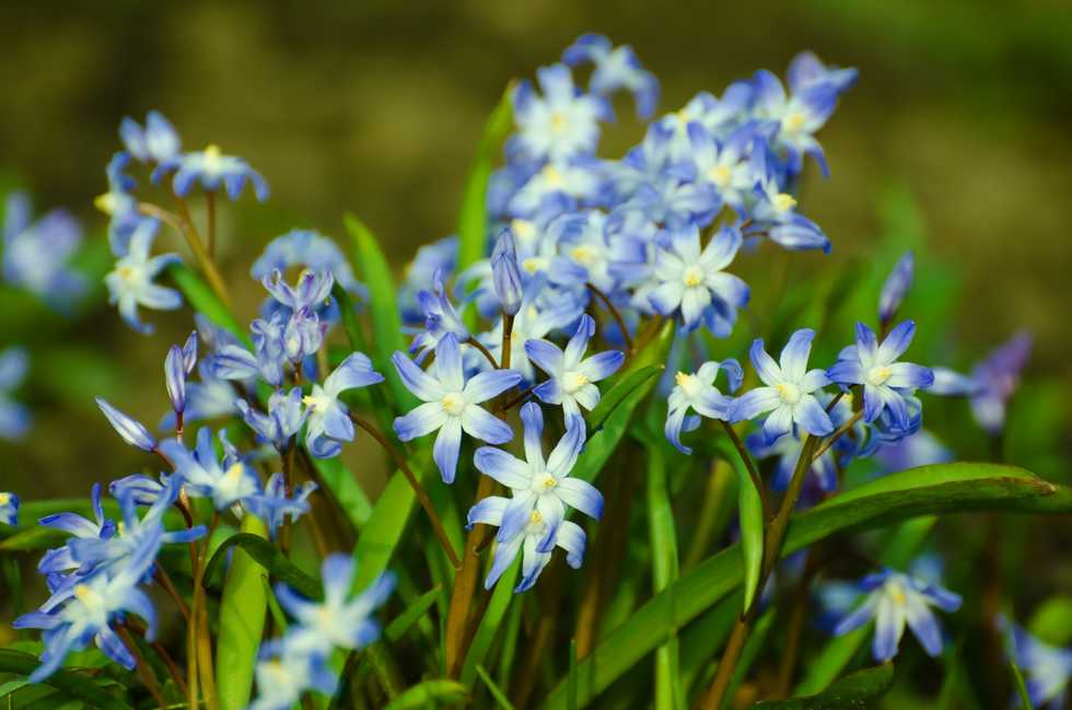 6 Reasons To Look Forward To Spring | The Odyssey Online