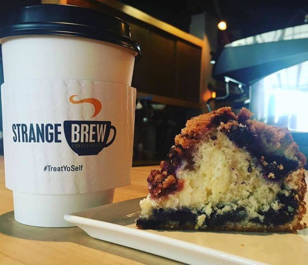 6 Strange Brew's Signs To Keep Us Laughing | The Odyssey Online