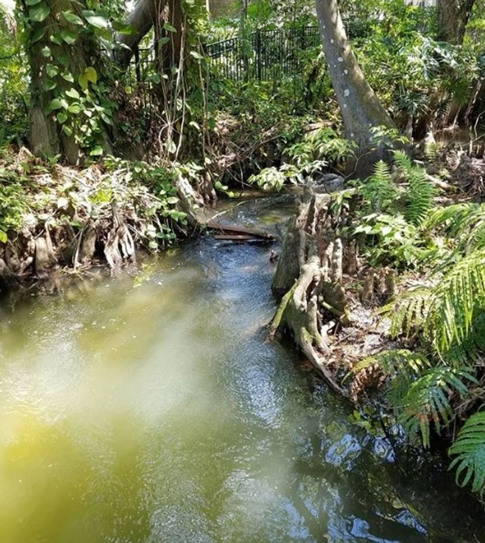 8 Picturesque Parks In Orlando To Rejuvenate Your Soul This Spring ...