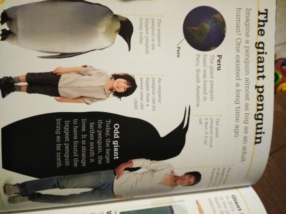 Holy Giant Penguin! | The Odyssey Online