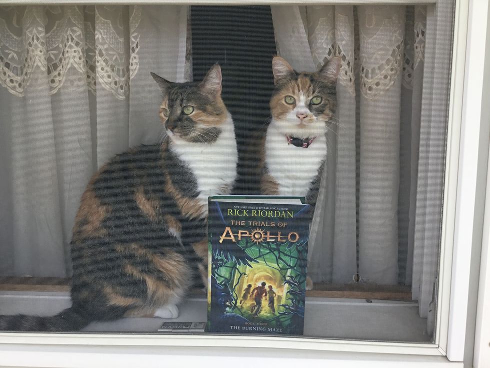 ‘The Trials of Apollo: The Burning Maze’ Raises The Stakes And Puts The ...