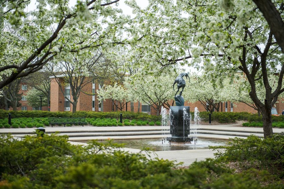 An Open Letter To My SVSU Orientation Students | The Odyssey Online