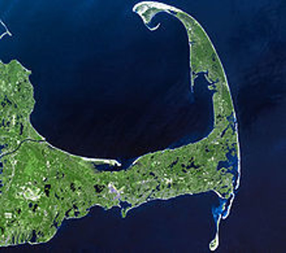 Cape Cod 2018 | The Odyssey Online