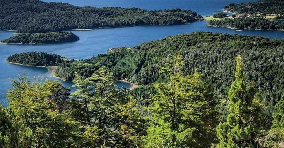environmental issues and how to fix them | The Odyssey Online