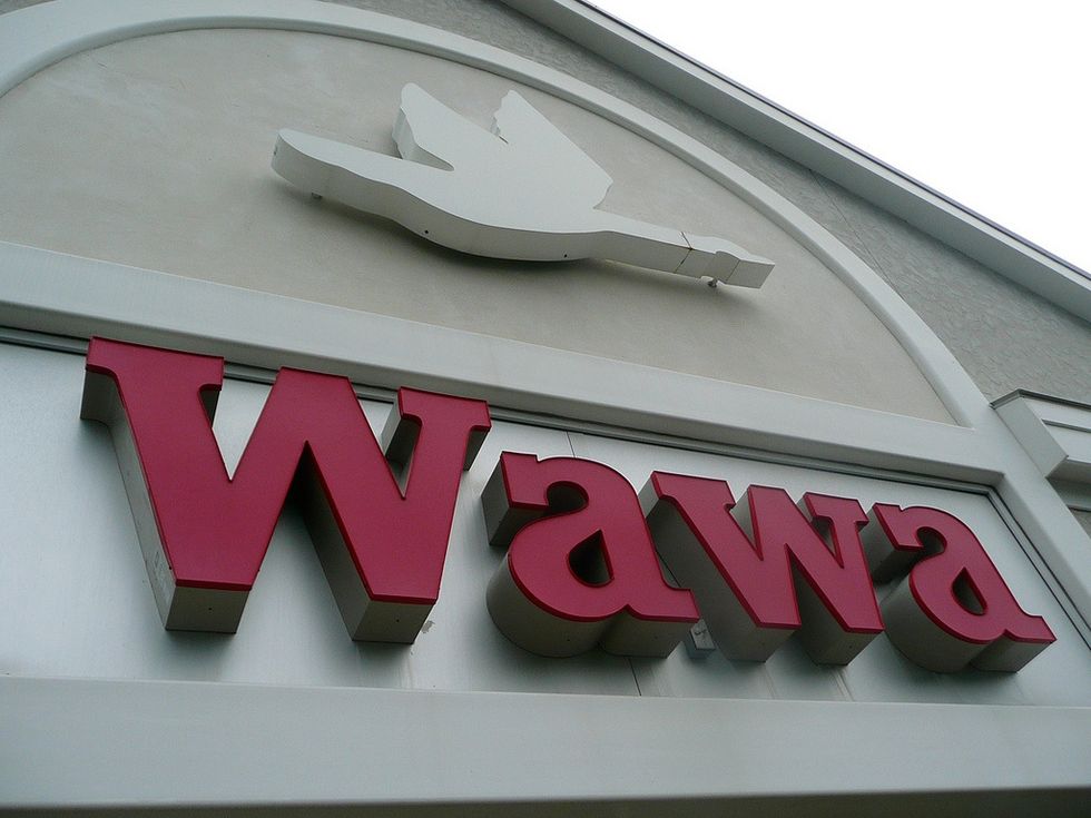 Why I love Wawa | The Odyssey Online