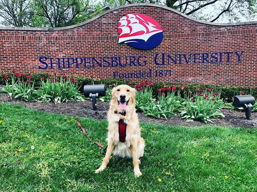 What you need to know about the common college stereotypes | The ...