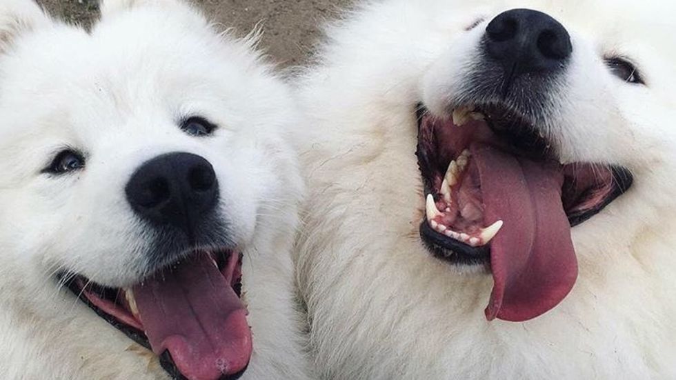 A List Of 100 Little Things That Make Me Happy | The Odyssey Online