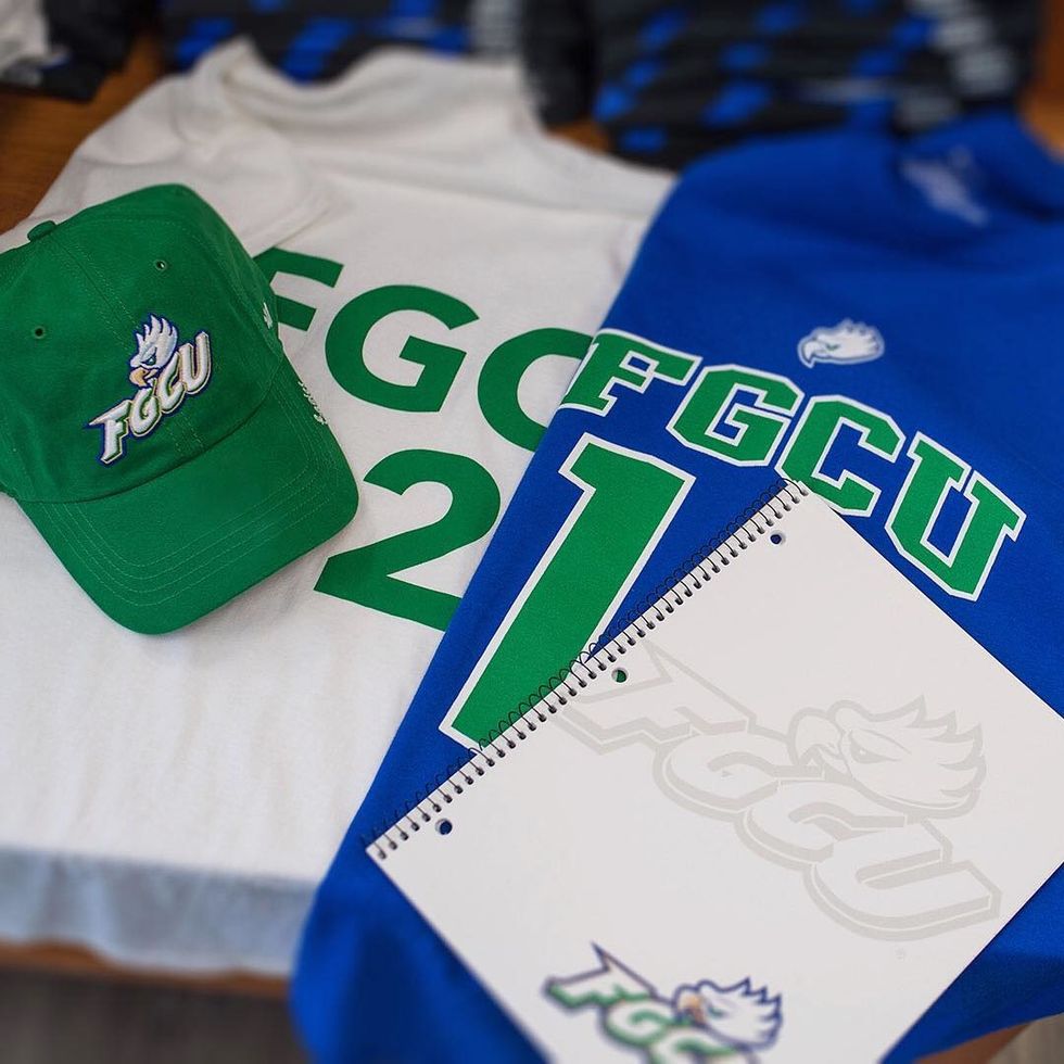 Every First-Semester Goal I Have As An FGCU Freshman | The Odyssey Online