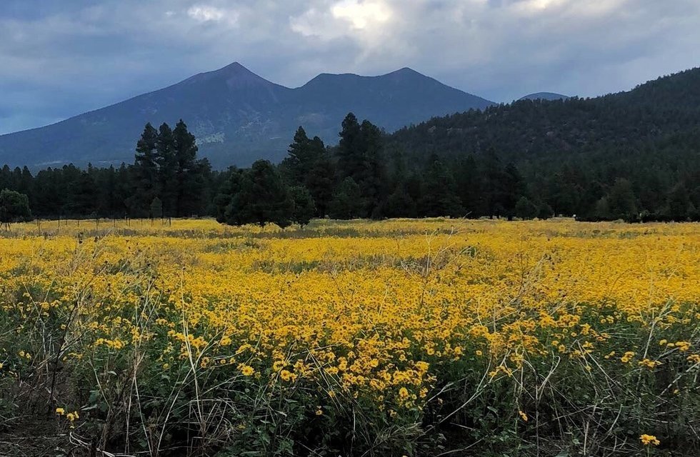 5 Reasons To Love Living In The Mountains | The Odyssey Online