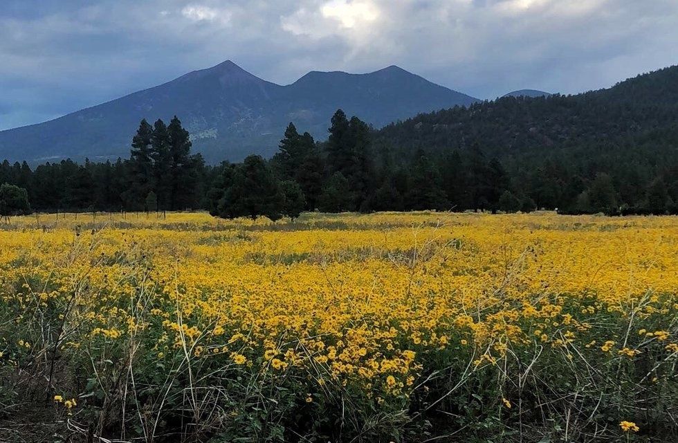 5 Reasons To Love Living In The Mountains | The Odyssey Online