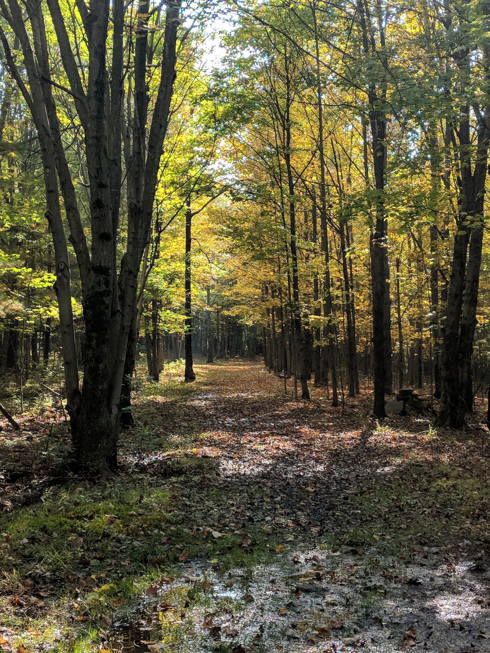 Making Ourselves At Home In Ourselves | The Odyssey Online