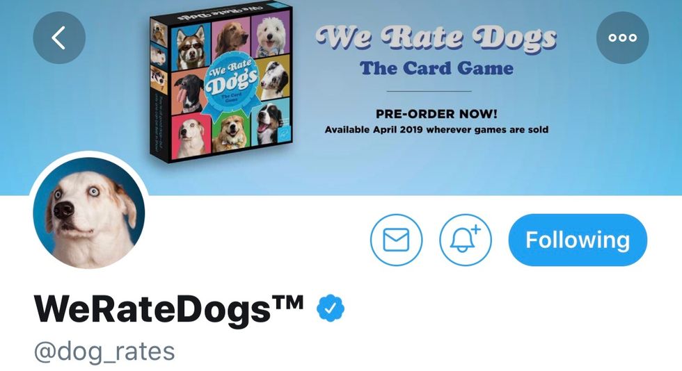 WeRateDogs™ | @dog_rates | The Odyssey Online