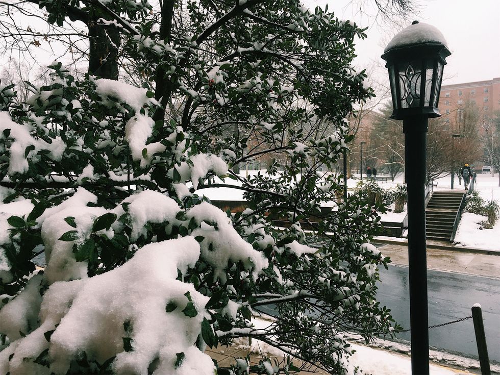 Ways To Spend Your Snow Days | The Odyssey Online