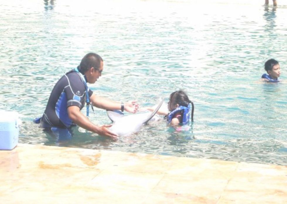 My Spring Break Story: 2009 Edition | The Odyssey Online