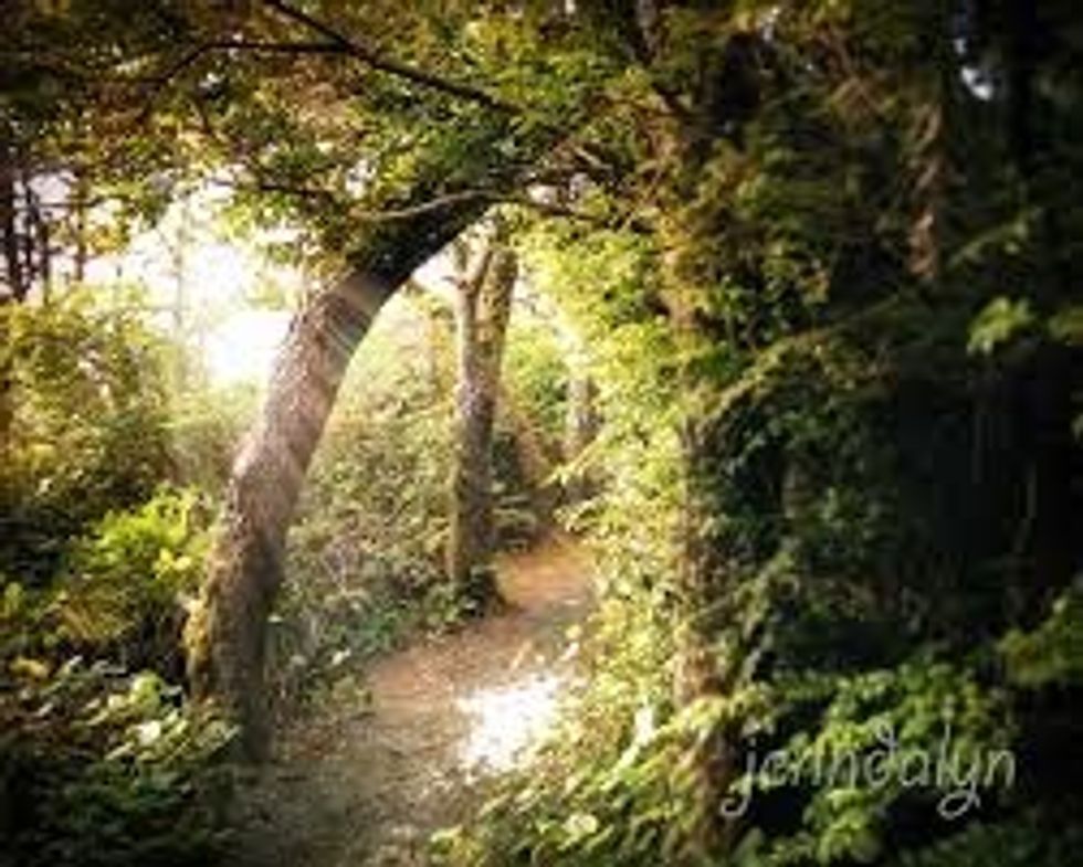 Why Magic Is Real | The Odyssey Online