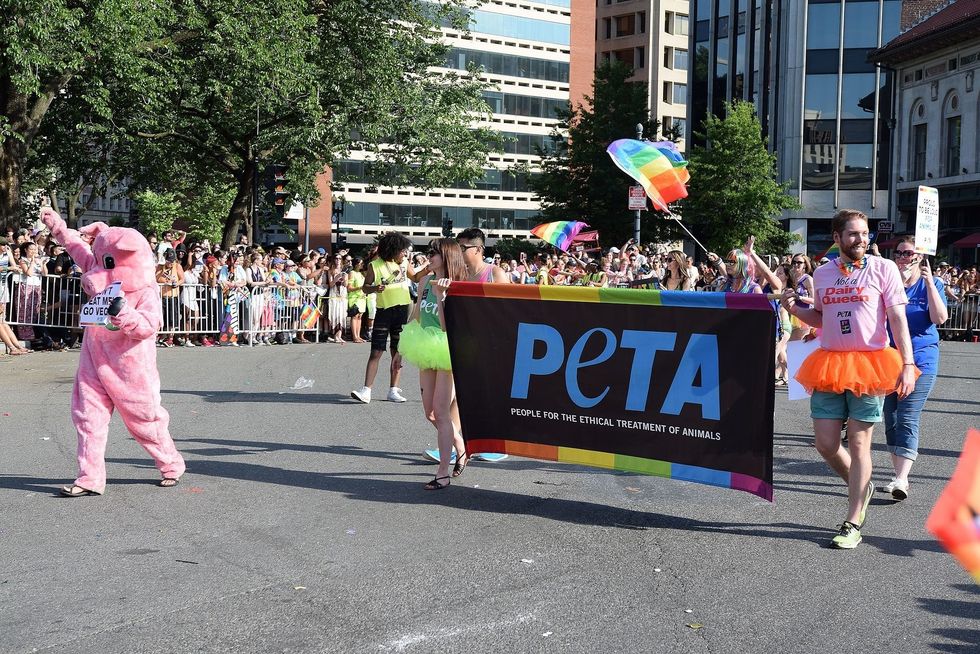 PETA Is The Worst Thing To Ever Happen To Animal Rights | The Odyssey ...