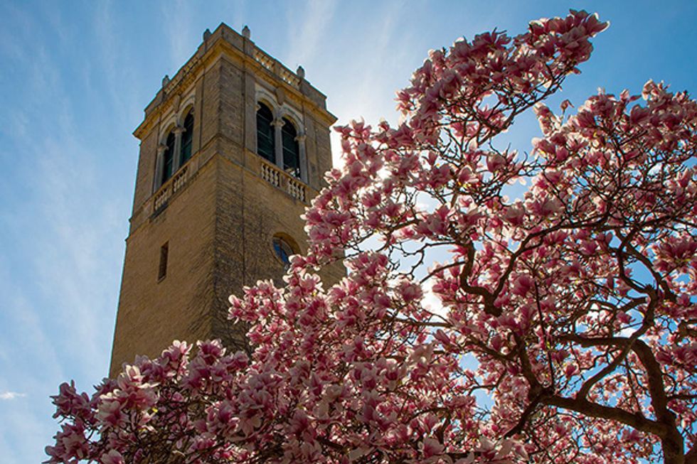 how to fight spring fever | The Odyssey Online