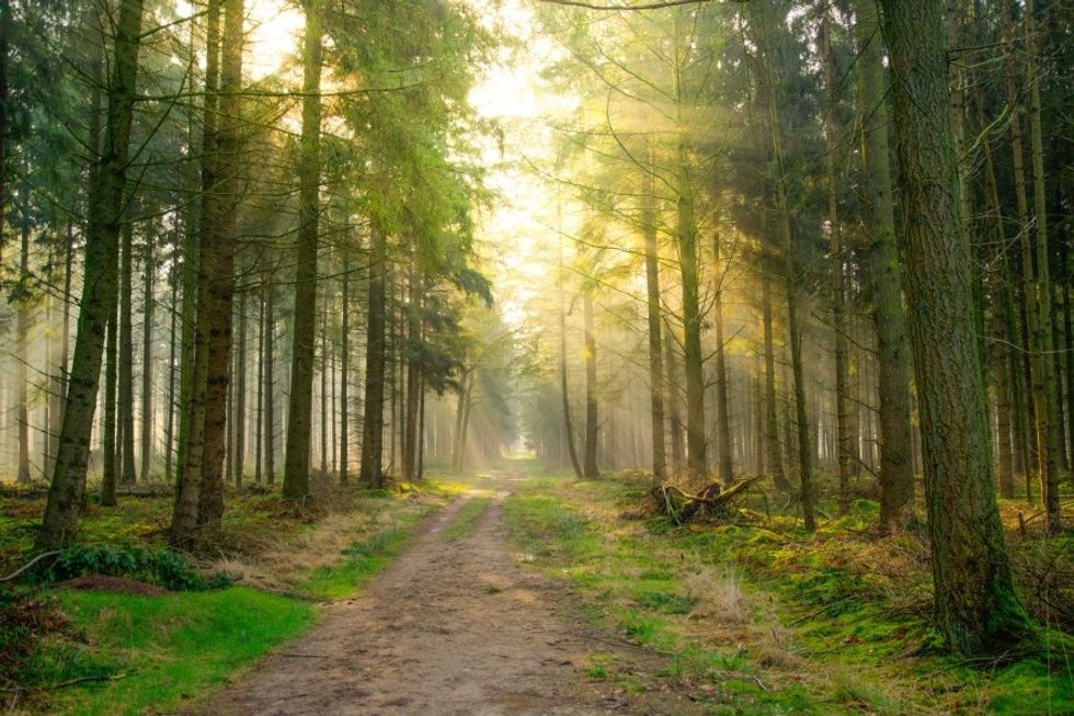 What My Perfect Spring Day Would Look Like | The Odyssey Online