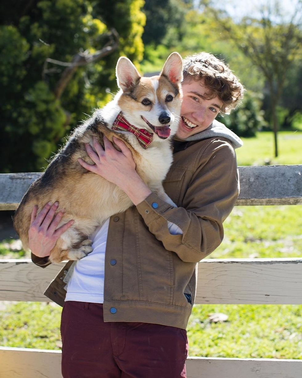 11 Of The Best Dog Instagram Accounts | The Odyssey Online