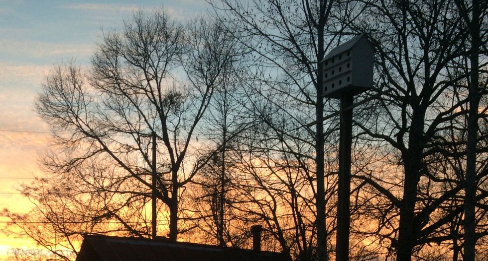 21 Southern Sayings That Everyone From Alabama Can Relate To | The ...