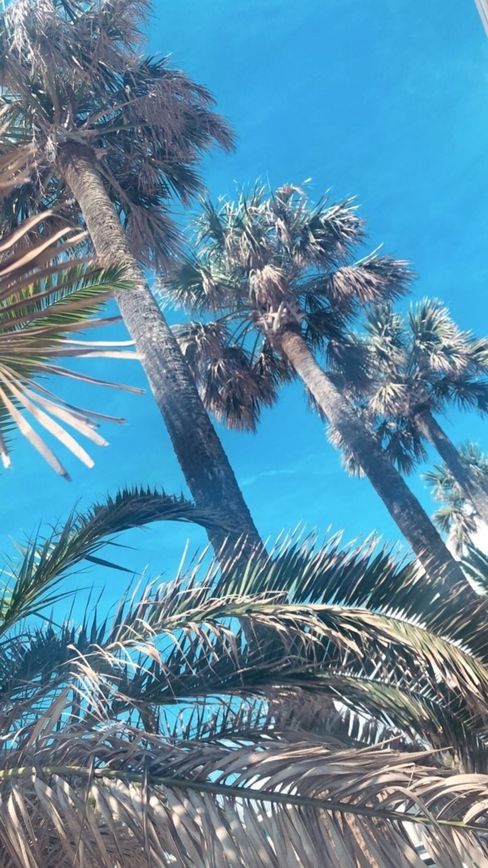 14 Fun Activity Ideas For Your Summer Vacation | The Odyssey Online