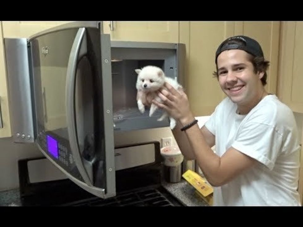 8 Things Every Bad Chef Can Attest To | The Odyssey Online