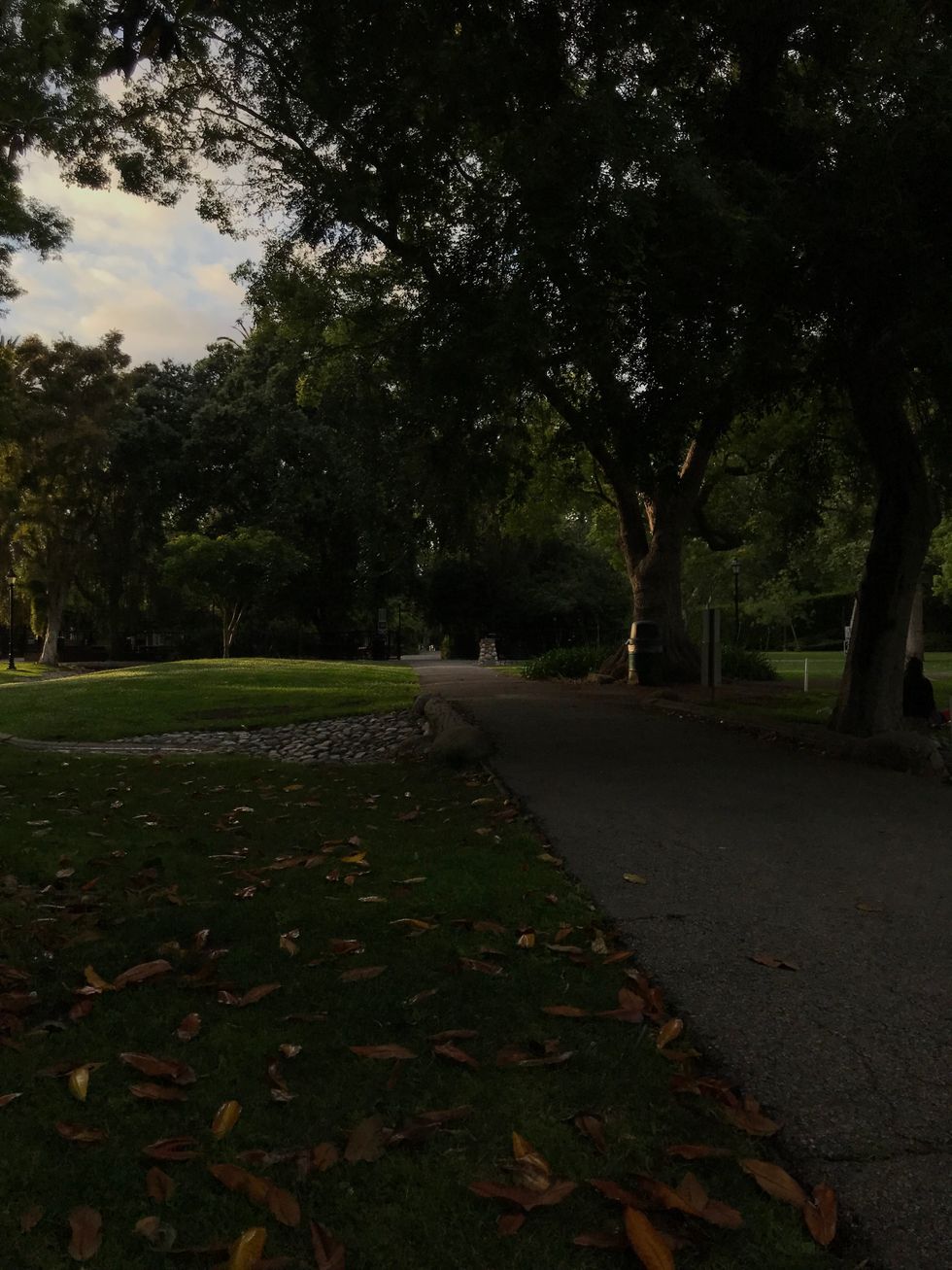 Walking Through The Park | The Odyssey Online