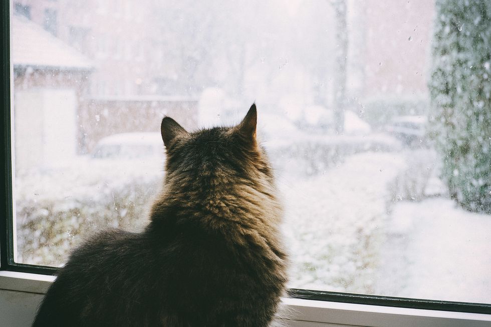 Why Saying Goodbye To Snow Days Is A Bad Idea | The Odyssey Online