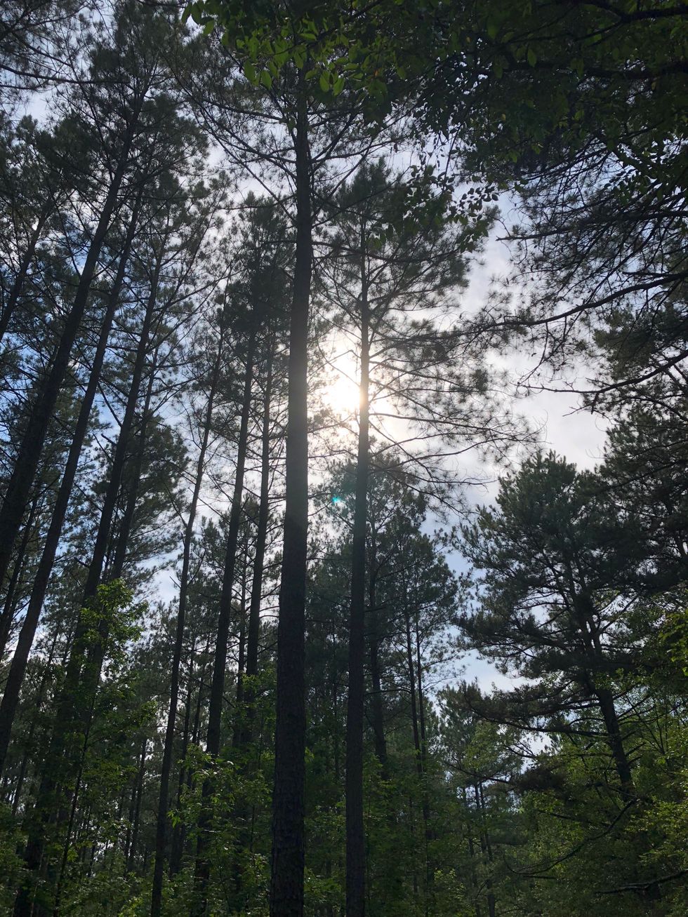 The Best Underrated (Nature) Places to Go in Athens | The Odyssey Online