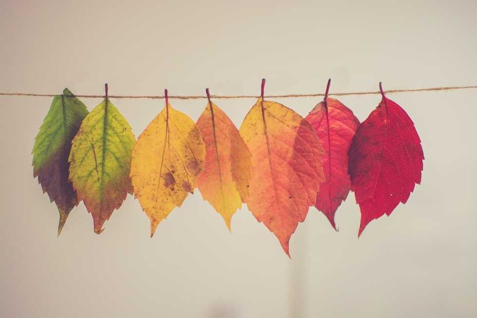 20 Reasons To Look Forward To Fall! | The Odyssey Online