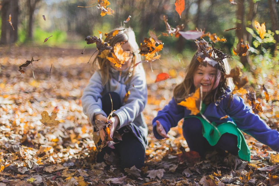 8 Amazing Activities To Try Out During Fall Break's Festively ...