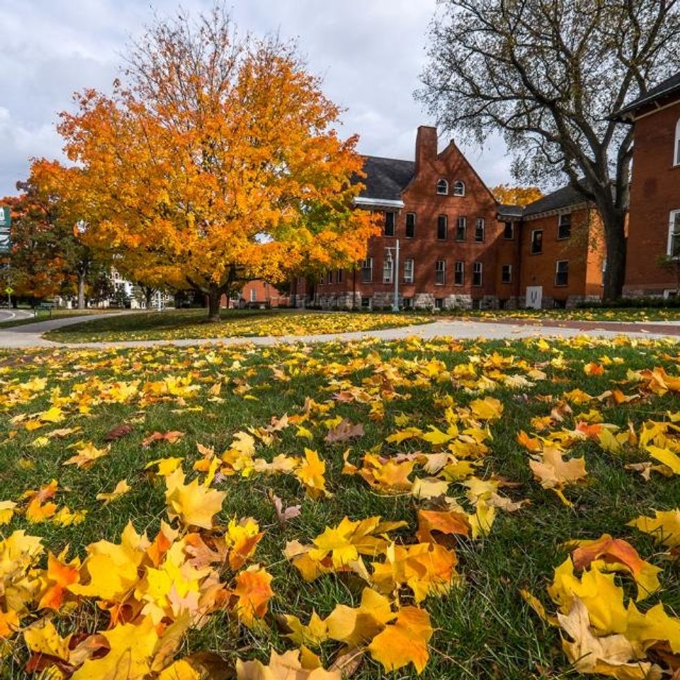 7 Best Spots To Go On MSU's Campus In The Fall | The Odyssey Online