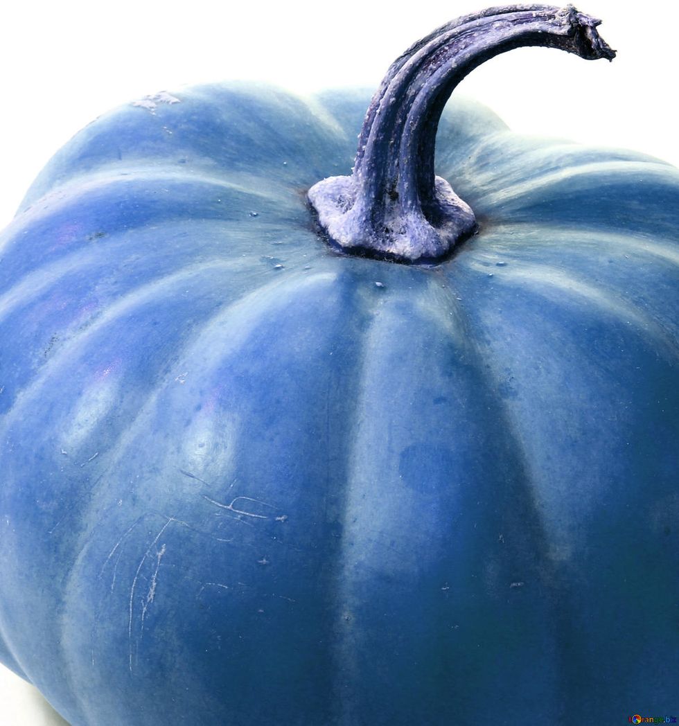 Blue Pumpkins For Autism, And Why Halloween Should Be For Everyone ...