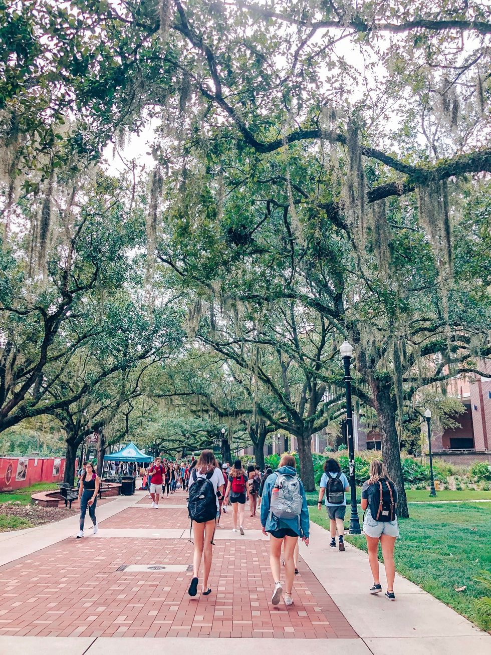 11 Things You Must Do Before You Graduate From FSU | The Odyssey Online