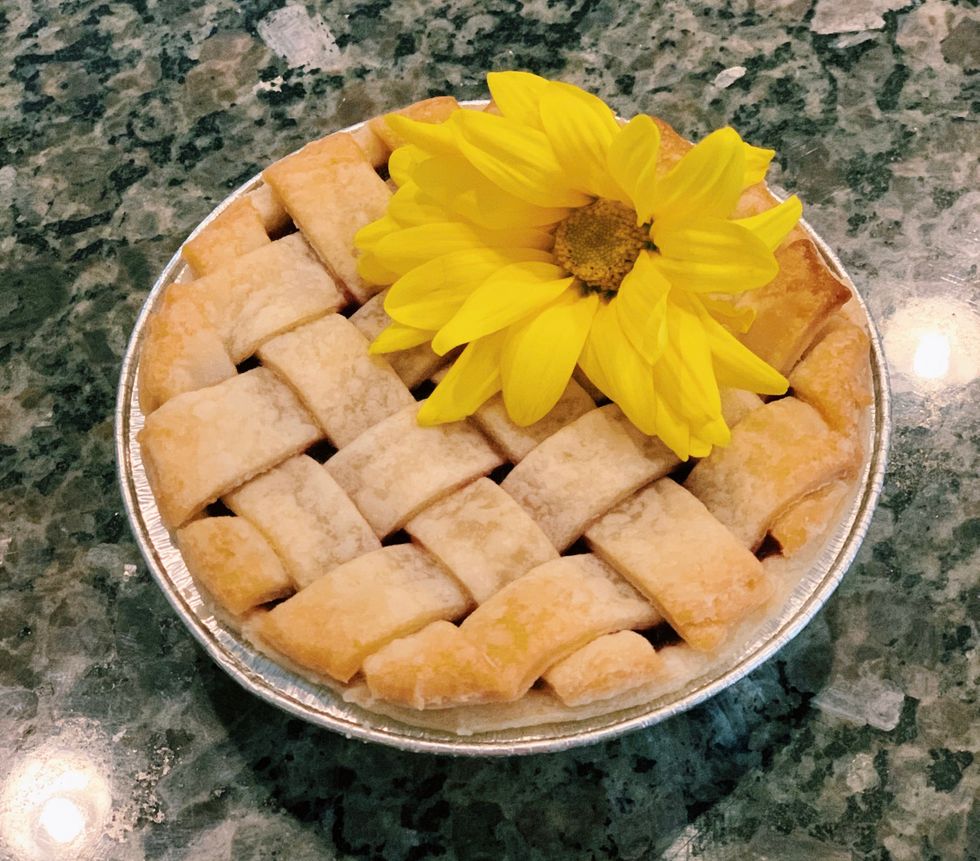 Eyes For These Pies | The Odyssey Online