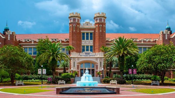 5 Random UCF Facts Every Knight Should Know | The Odyssey Online