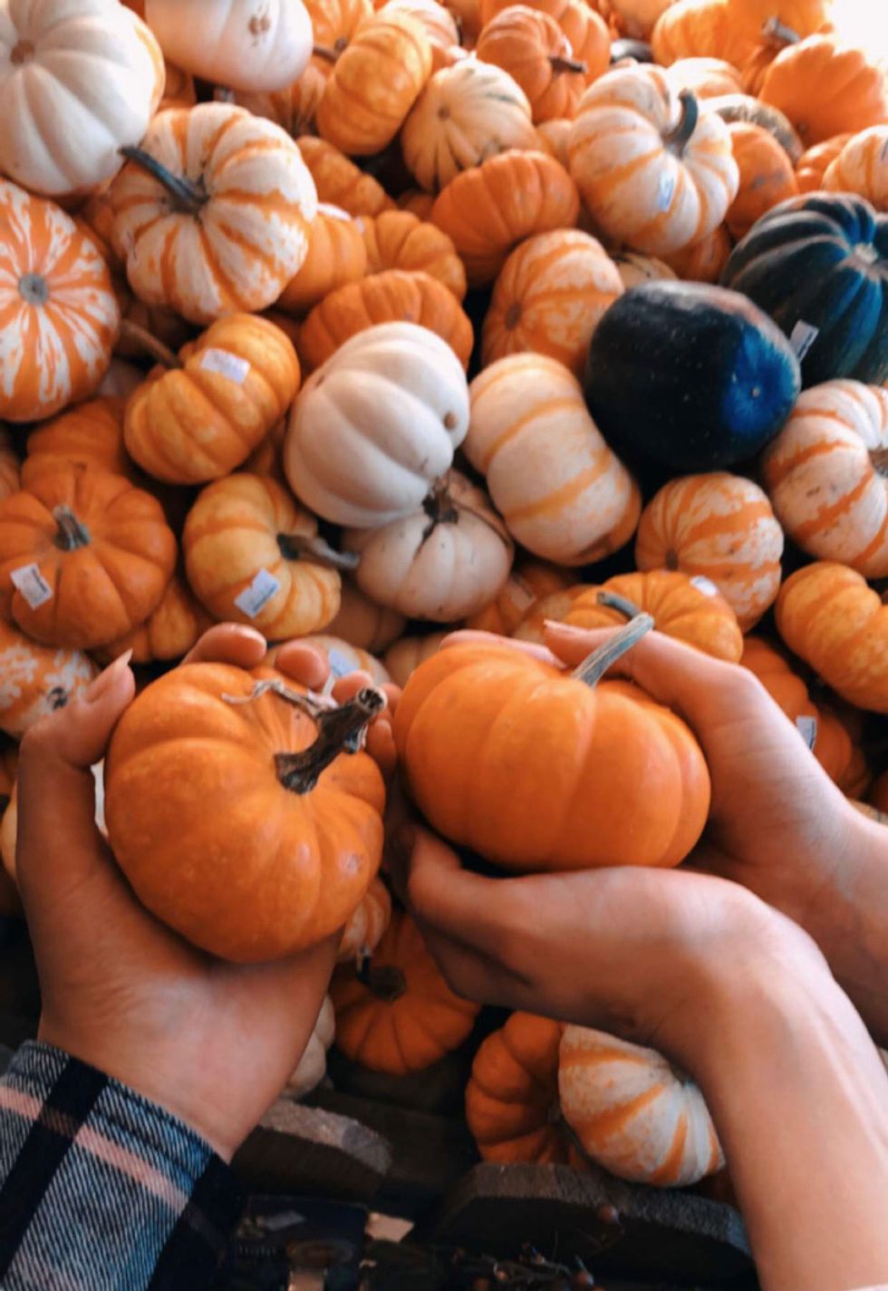 Making The Most Of Holidays On Campus | The Odyssey Online