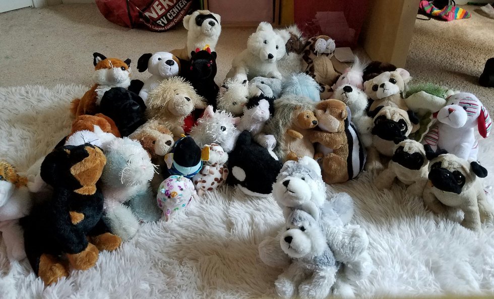 What Webkinz You Are Based On Your Zodiac Sign | The Odyssey Online