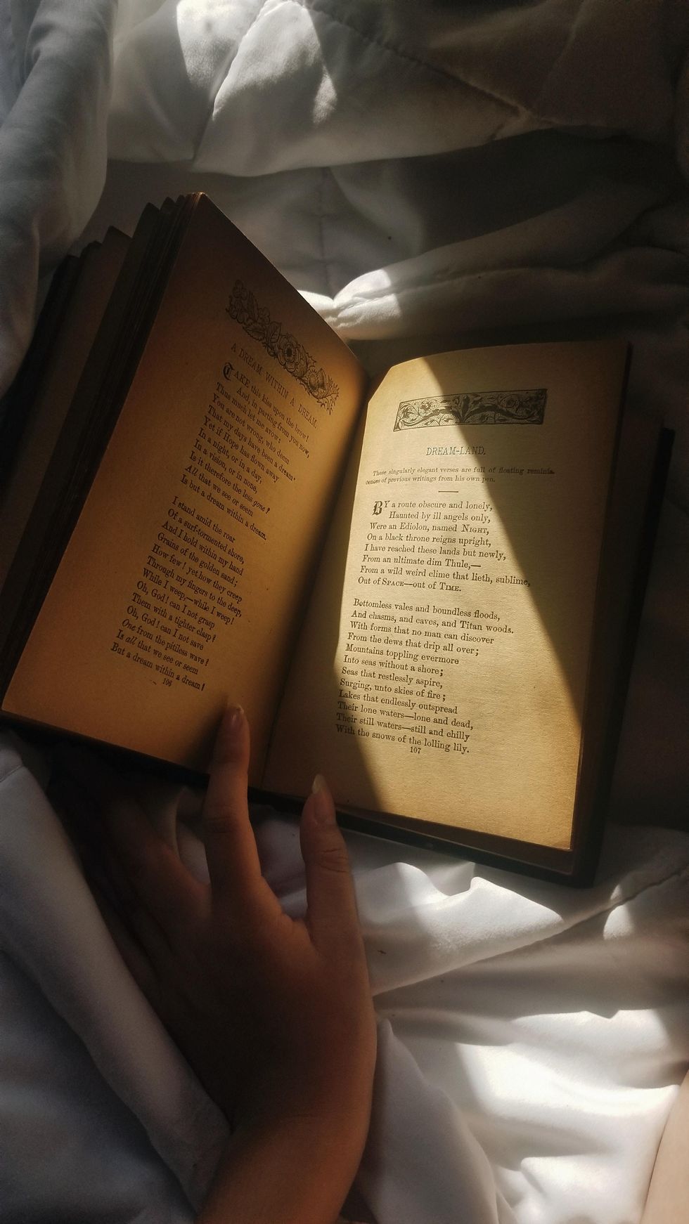 25 Book Quotes That Will Hit You Where It Hurts | The Odyssey Online